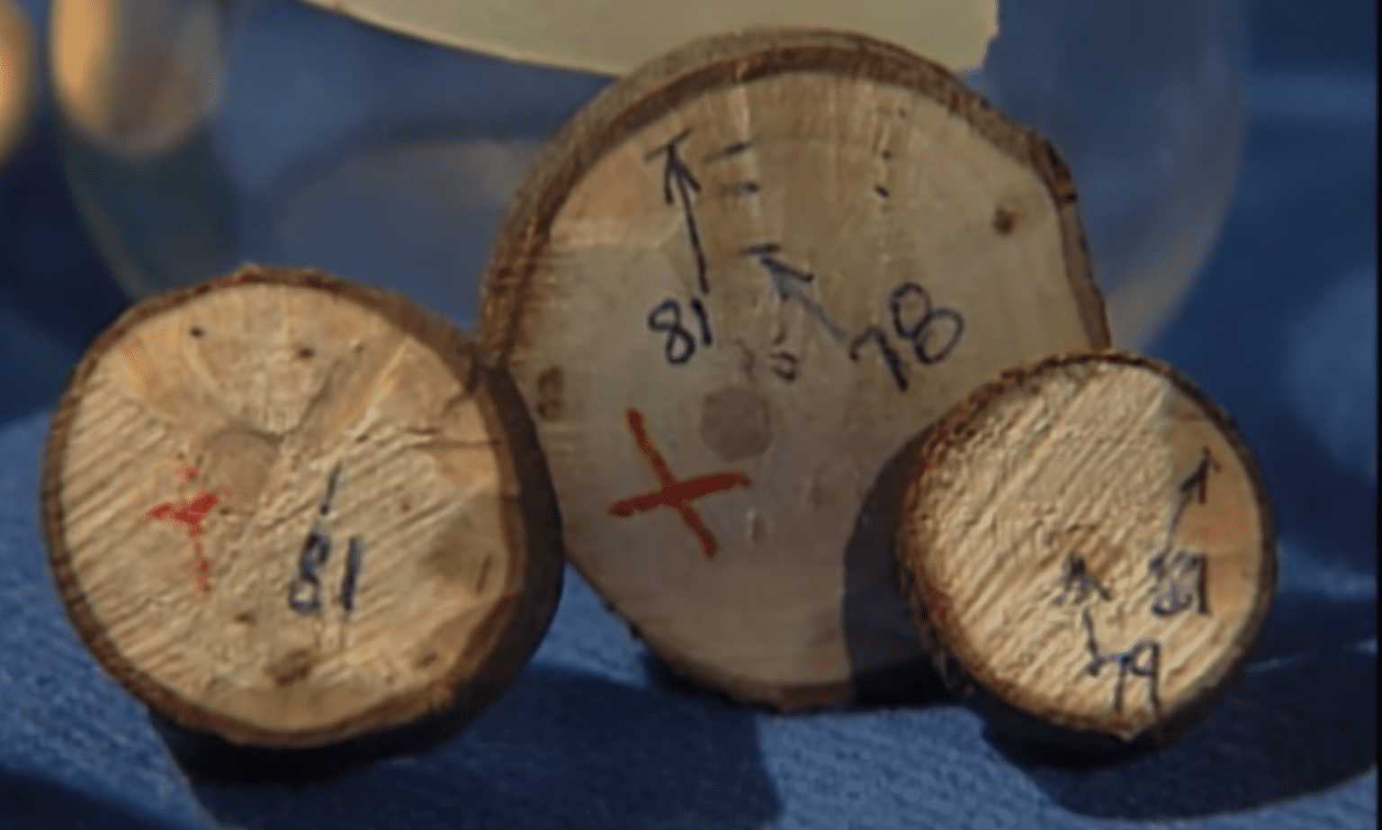 True Crime Case Histories Volume 1 – JASON NEAL BOOKS